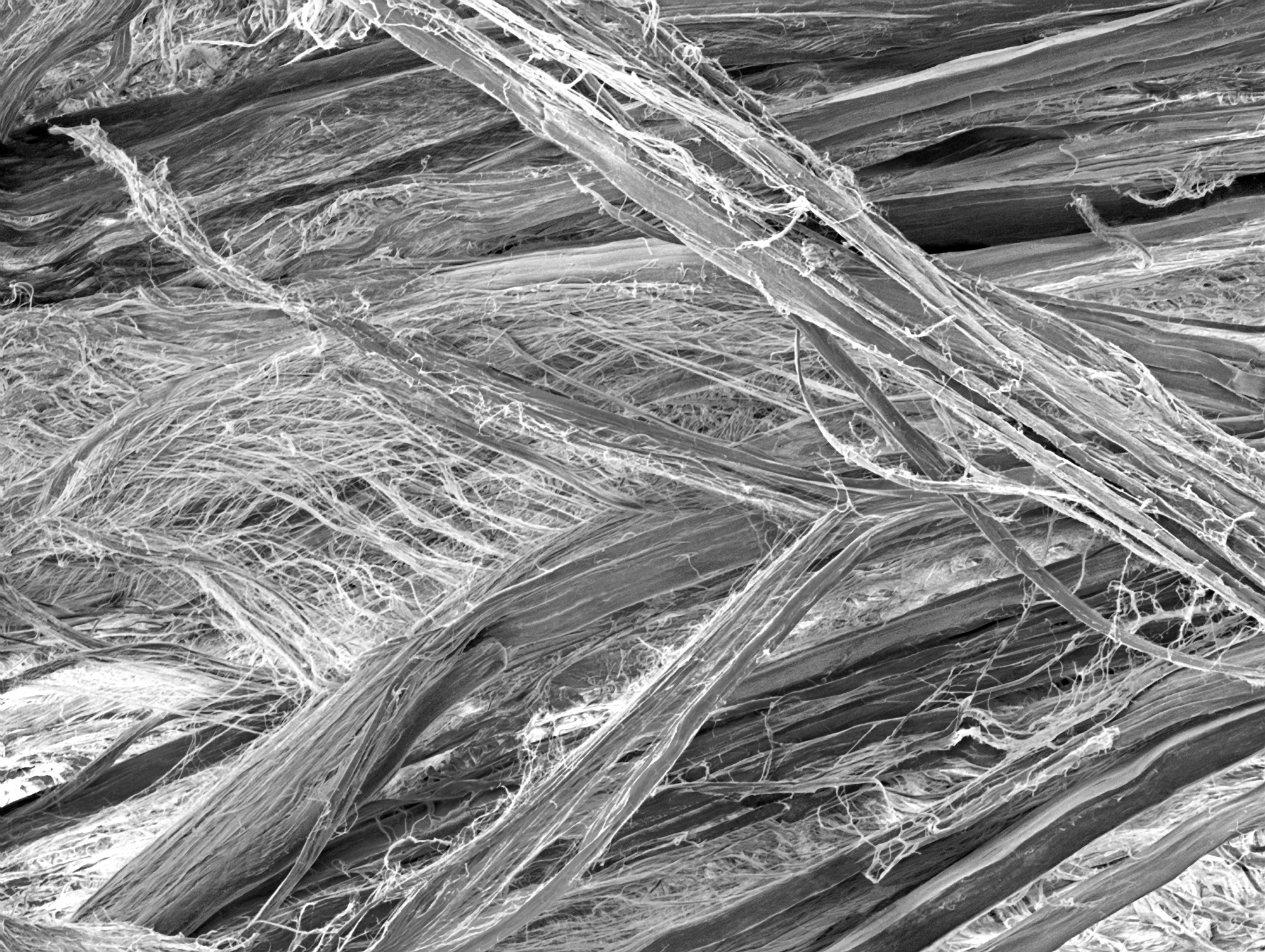 Products & Services - Regenity